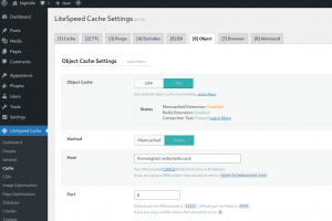 How to enable Redis/Memached Object Caching